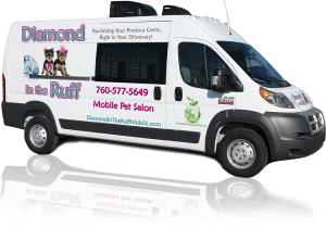 Diamond in the Ruff Mobile Pet Salon | Where the Groomer Comes to You!